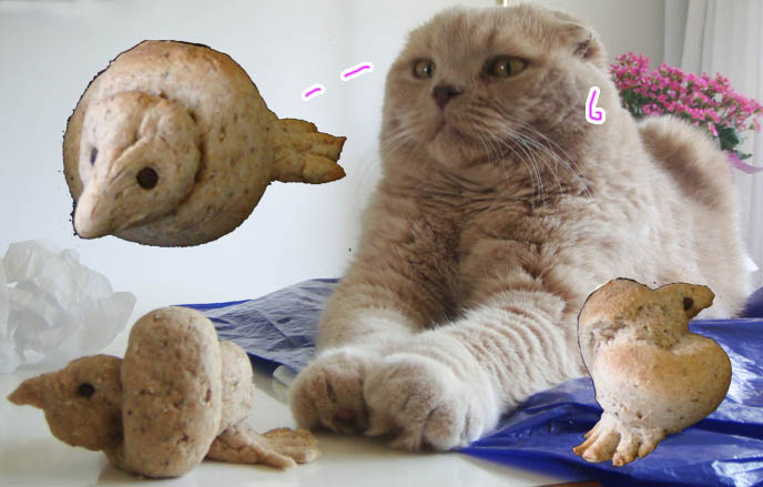 HOW TO BAKE CUTE BIRD BREAD. SCOTTISH FOLD & FOREVER FRIENDS TEDDY BEAR ...
